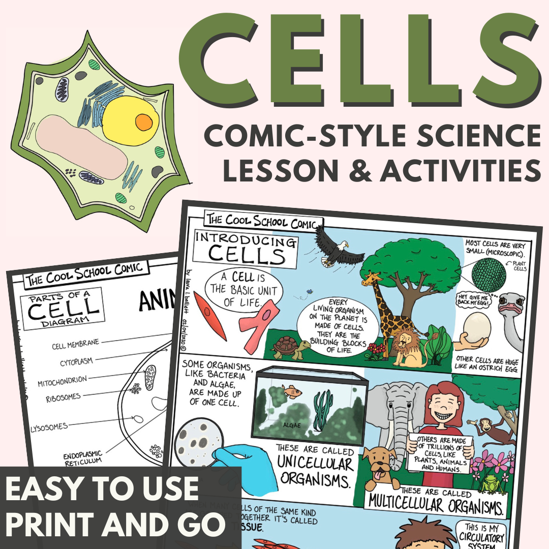 Plant and Animal Cell Diagram Lesson Plan - Cool School Comics