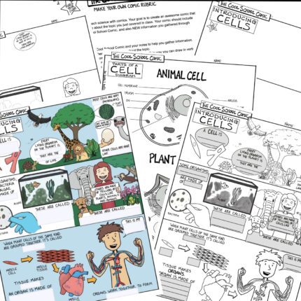 Visual Learning in Education - Cool School Comics