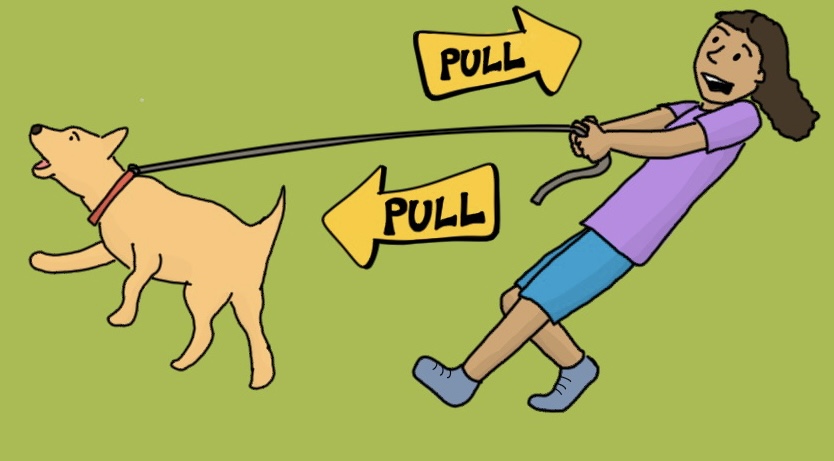 Low-Cost Force and Motion Activities - Cool School Comics