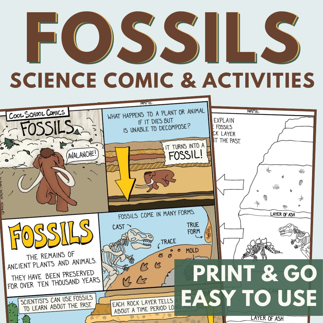 Earth's History- Fossils & Dinosaurs Comic - Cool School Comics