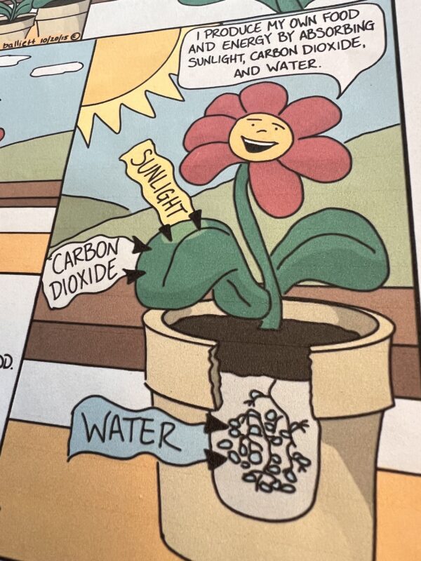 How a Photosynthesis Comic Strip Can Improve Retention - Cool School Comics