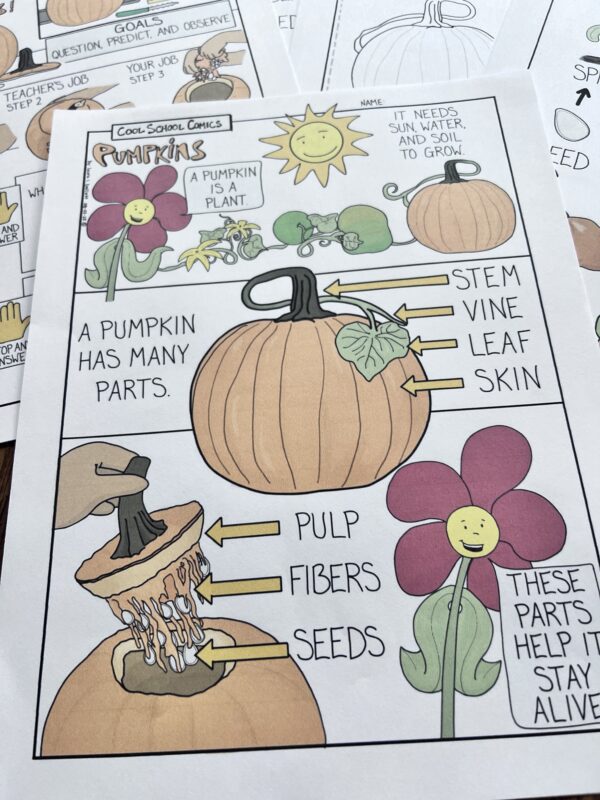 Pumpkin Investigation Fun: Parts of a Pumpkin & Coloring Pages