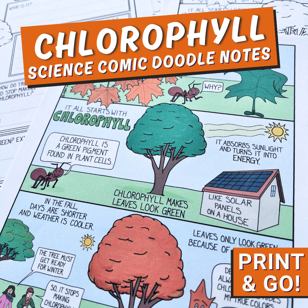 Why Do Leaves Change Color: Chlorophyll Comic - Cool School Comics