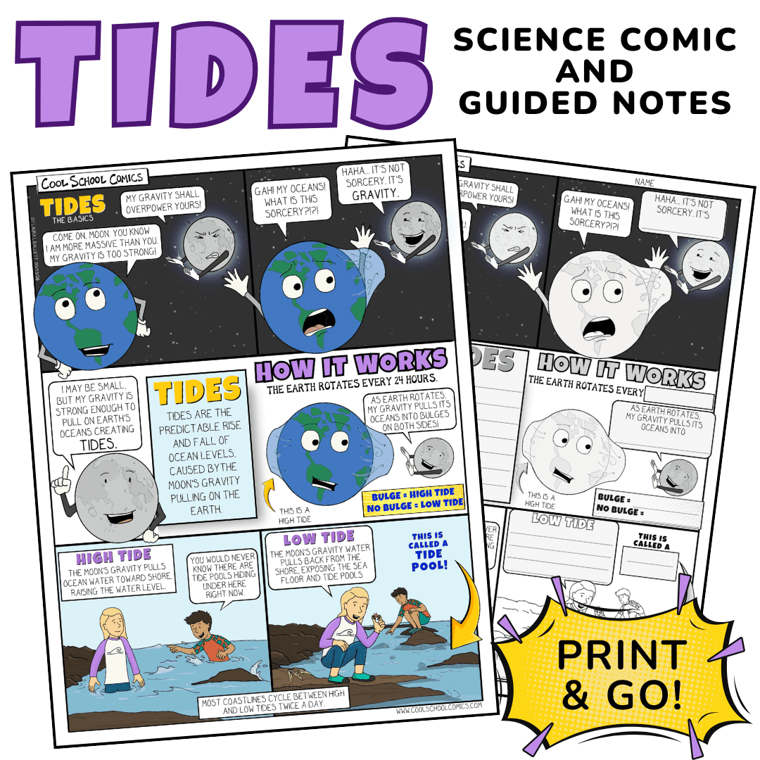 What Are the Causes of Tides and Tide Pools? - Cool School Comics